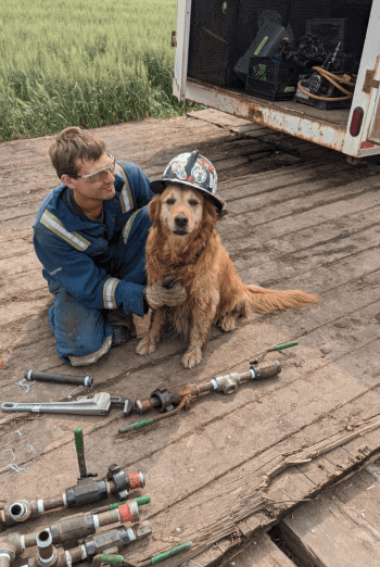 About - Marler Integrity Ltd.